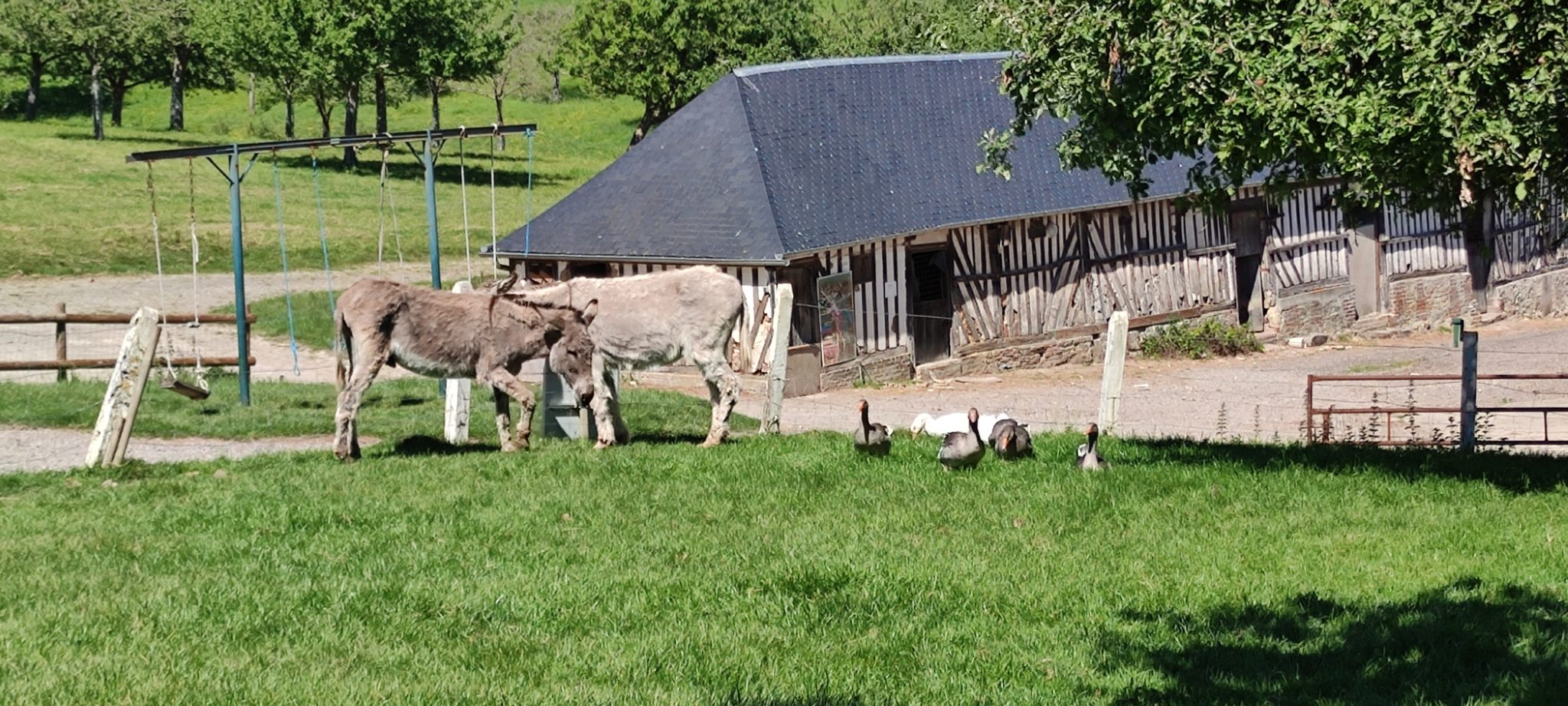 Musée de Quinéville et ferme pédagogique. - Ecole Sainte-Marie de l ...